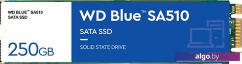 WD Blue 250GB WDS250G3B0B SSD купить в Минске, цена