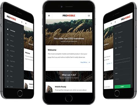 Best Mobile Web HTML Template Zonathemes Profesional Theme And Script Online