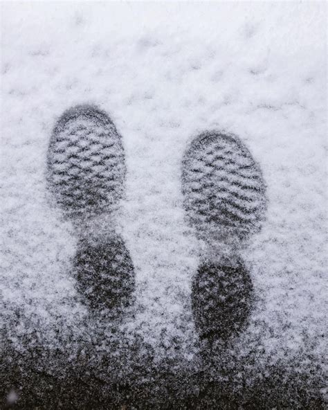 Следы на снегу