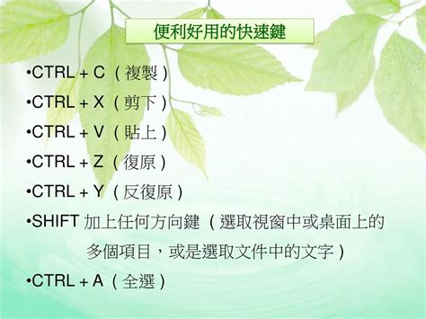 芃芃森林幼稚園 魔法資訊列車 電腦多媒體研習 ppt download