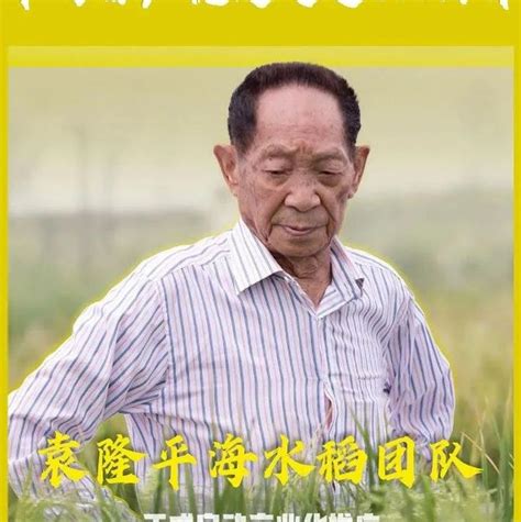 袁隆平海水稻团队又放大招了 知乎