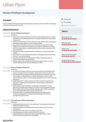 Director Of Software Development Resume Examples And Templates