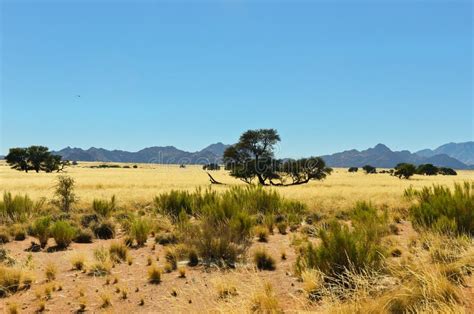 African Savanna Landscape Stock Photo Image Of Mountains 29144078