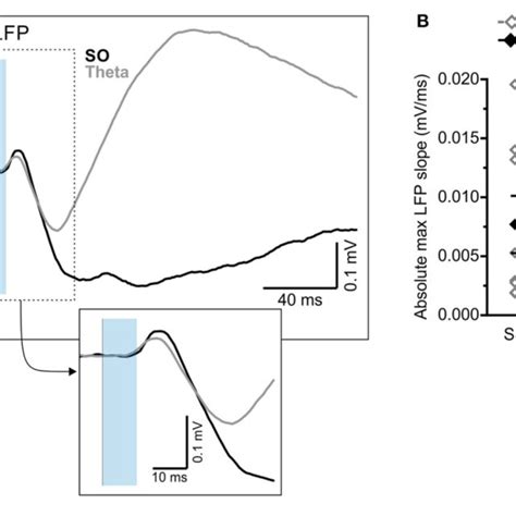 Re Evoked Cortical Field Potentials Are Modulated By State A Download Scientific Diagram