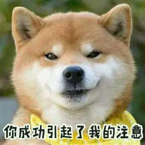 你引起了我的注意文字言辞第8页大山谷图库