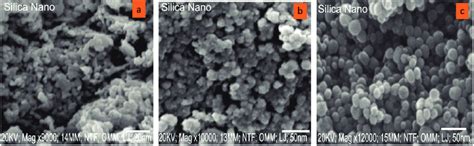 Sem Micrographs Of The Developed Silica Nanoparticle At Different Download Scientific Diagram