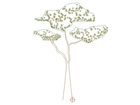 Tree 2d Elevation In Autocad Download Cad Free 1775 Kb Bibliocad