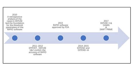 Brain Sciences Free Full Text The Application Of Software “rapid Processing Of Perfusion And