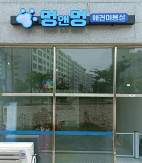 멍앤멍 애견미용실 충남 서산시 반려동물애견 동반장소 미용 반려생활