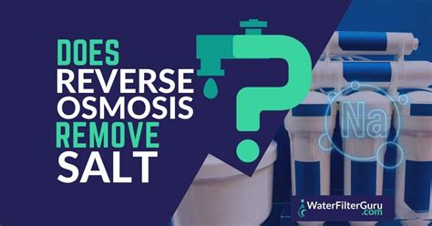 Does Reverse Osmosis Remove Salt