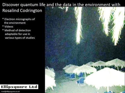 Rosalind Codrington On Linkedin Another Superb Video Photograph Showing Life In Another