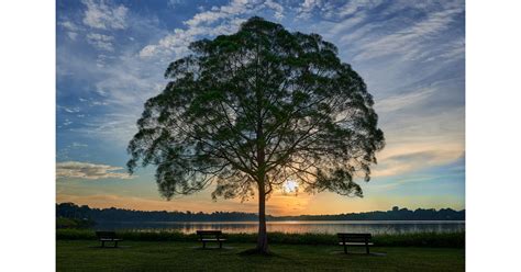 Johnson Controls 2023 Sustainability Report Marks Milestones Towards Net Zero