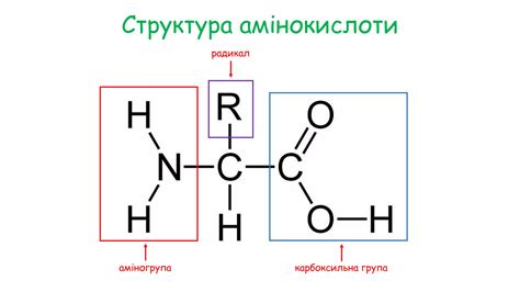 білки.pptx