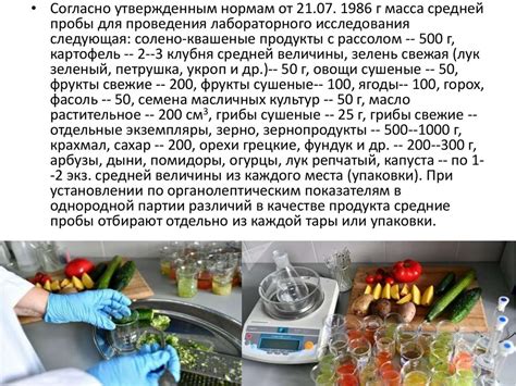 Ветеринарно санитарная экспертиза растительных продуктов Экспертиза