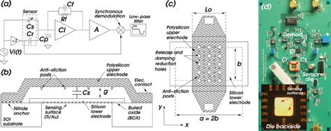 ͑ Color Online ͒ ͑ A ͒ Differential Capacitance Measurement Circuit Download Scientific Diagram