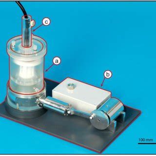 Pdf A Pulsatile Bioreactor For Conditioning Of Tissue Engineered Cardiovascular Constructs
