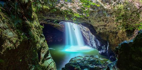 Parco Nazionale Di Springbrook Risparmia Fino Al 15 20