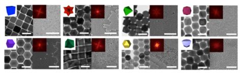 Anisotropic Nanostructures Mirkin