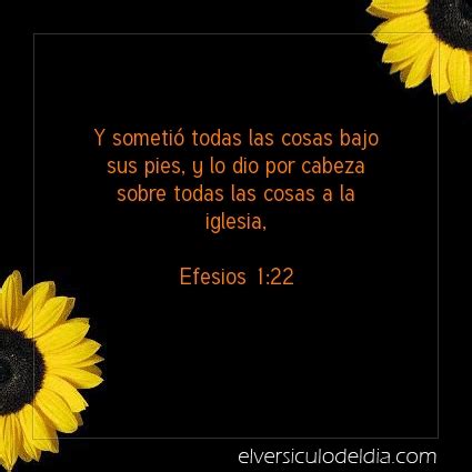 Postal Y sometió todas las