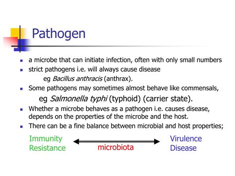 Ppt Normal Flora Powerpoint Presentation Free Download Id1196480