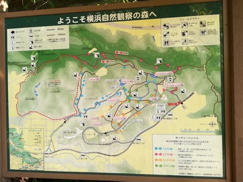 多摩三浦丘陵 横浜自然観察の森瀬上市民の森 神奈川県 HILLS 丘陵から山そして遊び