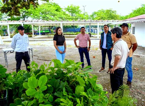 Movimiento social para promover la arborización de Yopal Boyacá Días