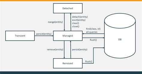 entity lifecycle