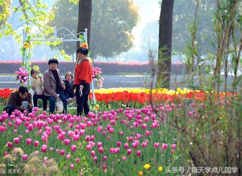 對聯擷趣 上聯萬道春光滿華夏請對下聯 每日頭條