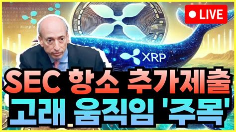 리플 Sec 항소로 40원 대폭락 악재 뒤에서 은밀하게 움직이는 고래들 다 털고 출발합니다 꽉 잡으세요 리플전망 리플 리플분석 리플호재 Youtube