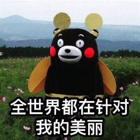 熊本熊表情包 高清图片，堆糖，美图壁纸兴趣社区