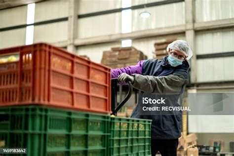 과일 유통 공장 노동자가 유기농 식품 생산 공장의 팔레트 트럭에서 상자를 옮기고 있다 음식에 대한 스톡 사진 및 기타 이미지 음식 콜롬비아 산업 Istock