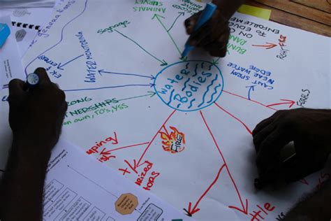 Conservation Management