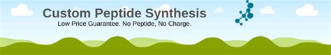 Peptide Synthesis Custom Peptide Synthesis Services Biomatik