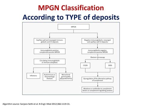 Infection Related Glomerulopathy Introduction Rapid Overview Dr