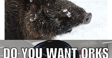 Radioactive Wild Boars Are Roaming Around Album On Imgur