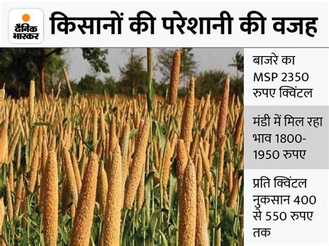 Agriculture Minister Jp Dalal In Bhiwani Rs 450 Per Quintal To Farmers