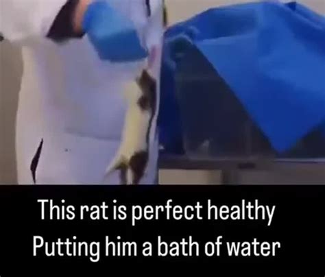 Video Asish Joyi Poonelil On Linkedin Health Wellbeing Mindfuleating