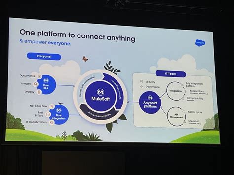 Mulesoft Salesforce Ai Data Crm Robear Hanna