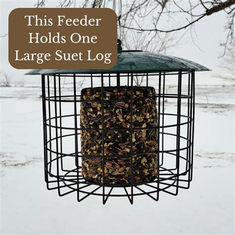 Squirrel Defeater Caged Seed Log Feeder
