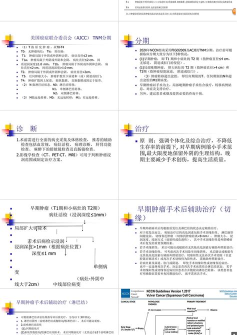 外阴癌的诊断和治疗ppt模板卡卡办公