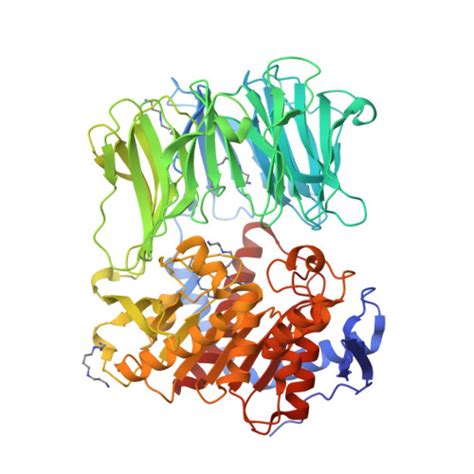 RCSB PDB 8ONO Modified Oligopeptidase B From S Proteamaculans In