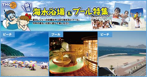 静岡海水浴場＆プール特集｜tnc