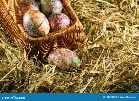 Easter Eggs In Basket In The Hay Stock Image Image Of Green Plant