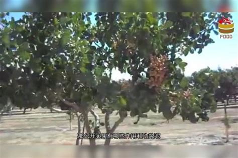 天然“血液稀释剂”发现，常吃血管畅通，预防血栓，远离心血管病