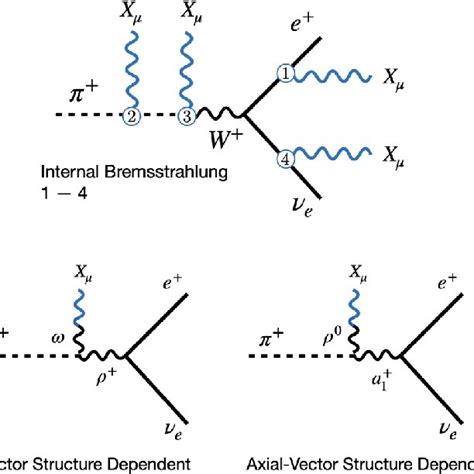 The Four Internal X Bremsstrahlung Amplitudes Left And The Vector And