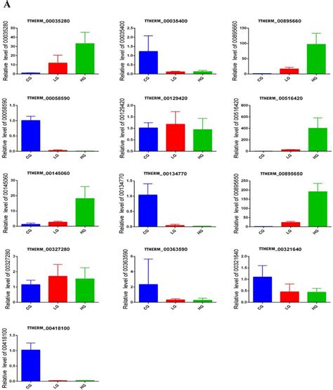 Relative Expression Levels Of Thirteen Degs Under Dha Stress A Download Scientific Diagram
