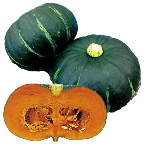 楽天市場カボチャ 種 栗ざんまい弐号 100粒 カボチャの種 菜園くらぶ家庭菜園の専門店