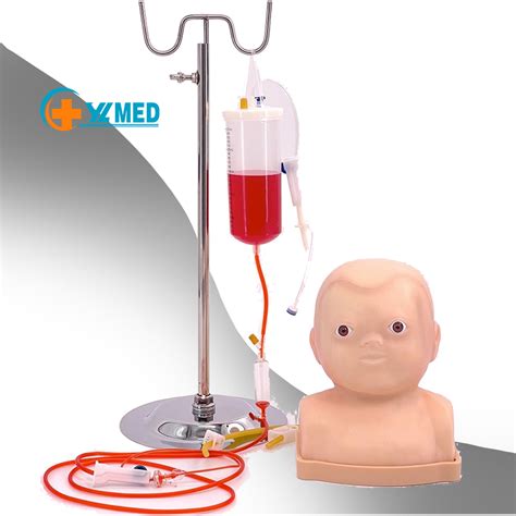 China Medical Science Teaching Aids Advanced Infant Head Bilateral