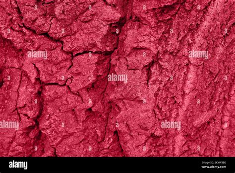 Closeup Photography Of Tree Bark Texture Red Color Stock Photo Alamy
