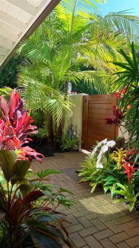 A Small Tropical Garden With Low Maintenance Plants Artofit